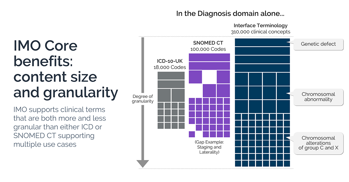 The clinical terminology behind the health IT curtain - IMO
