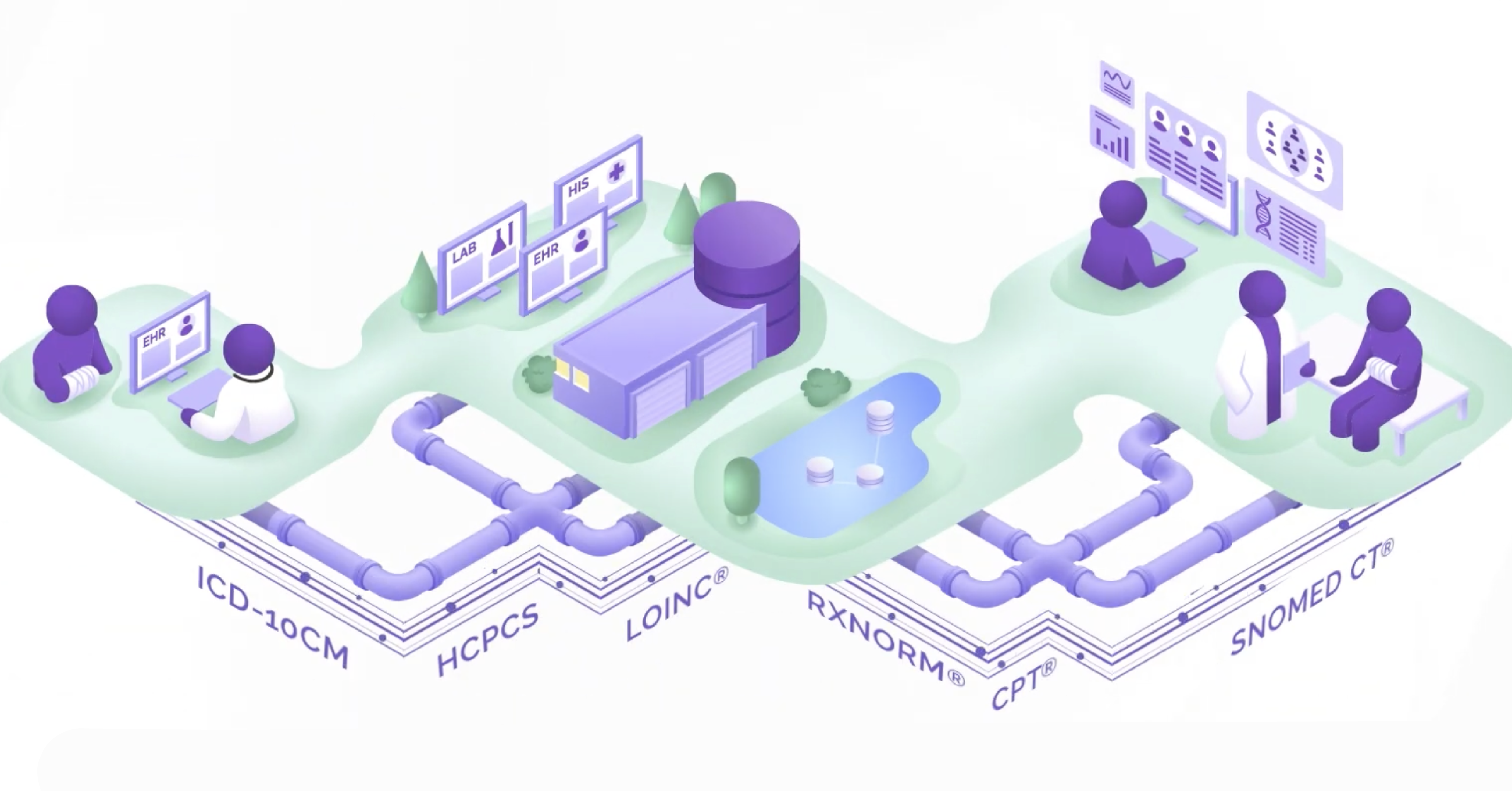 The IMO Health portfolio: Improving data quality in healthcare | IMO Health