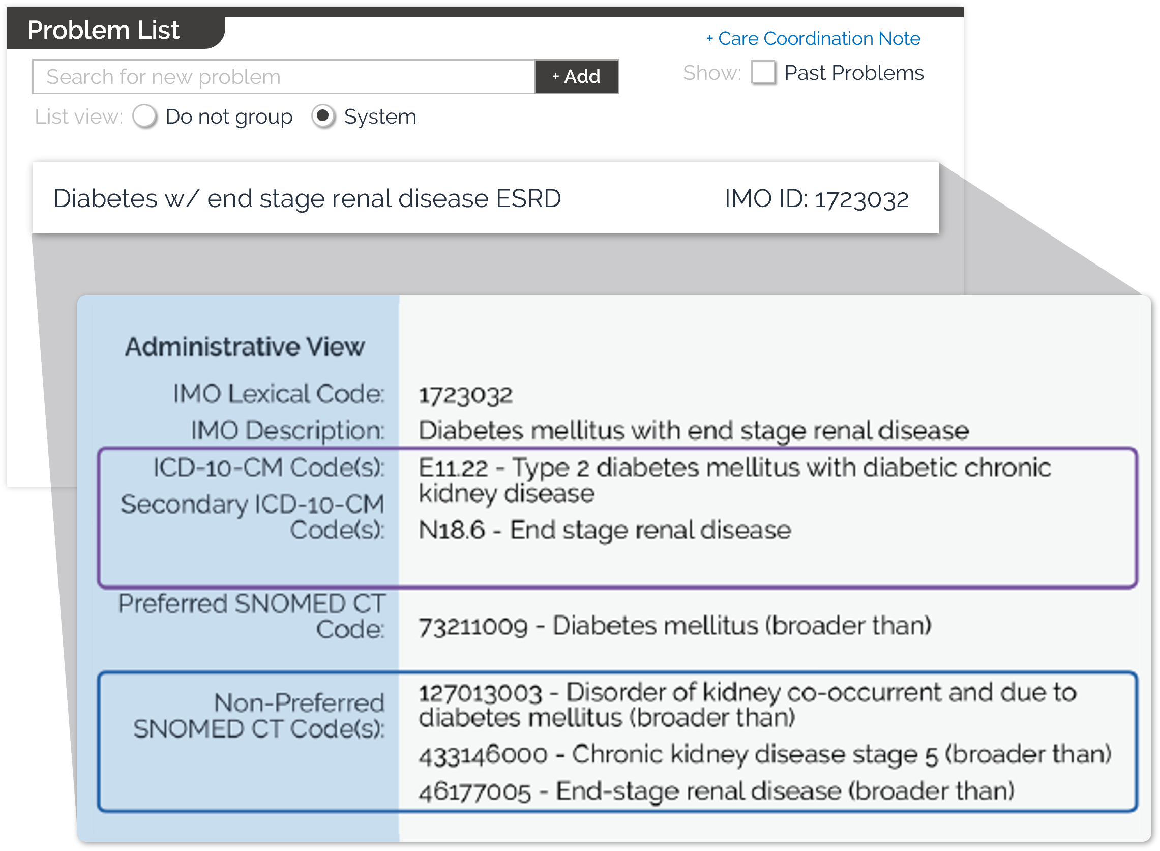 Realize the Full Power of Clinical Documentation | IMO Core